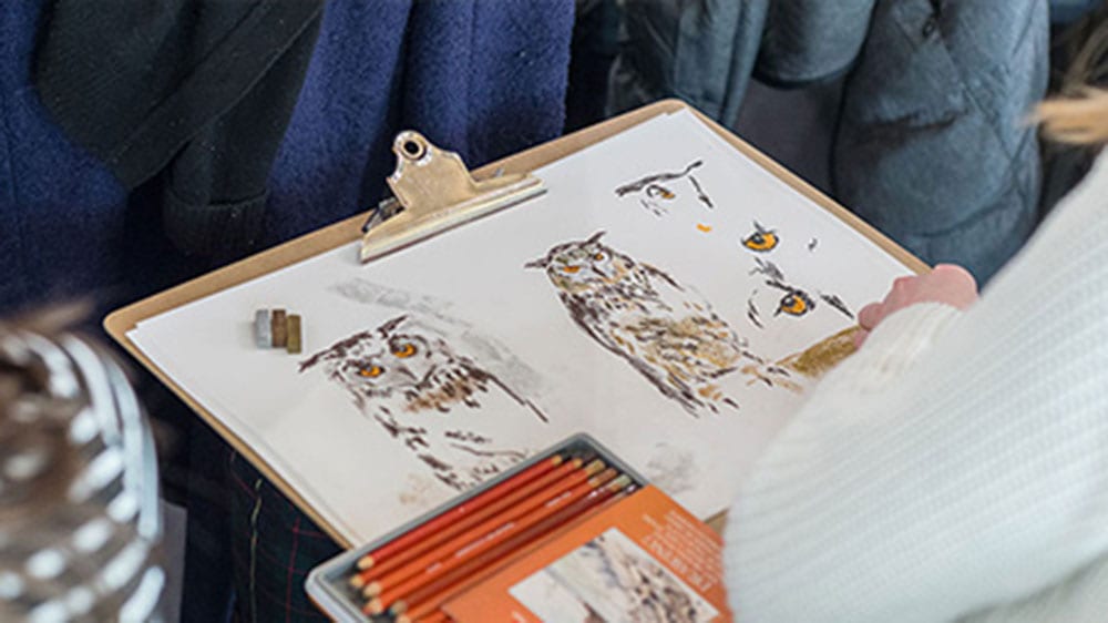 Wild Life Drawing with Jennie Webber | Carousel-London