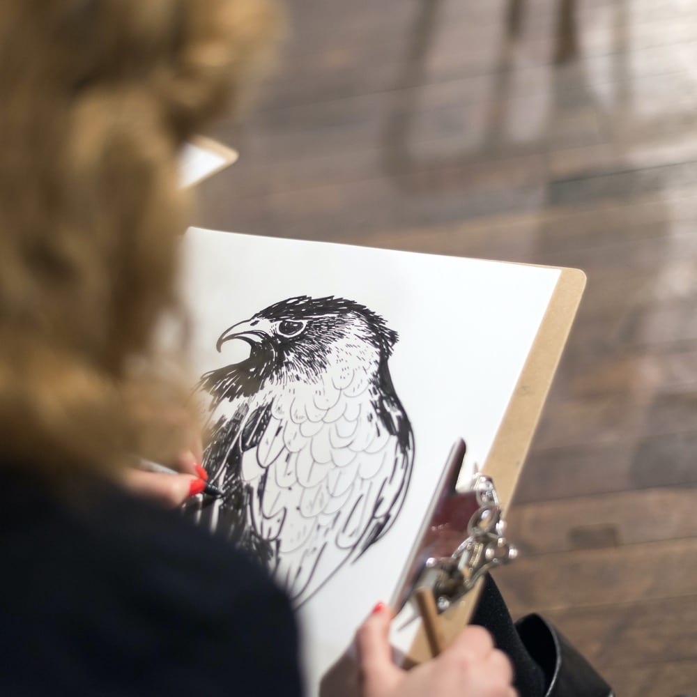 Wild Life Drawing with Jennie Webber | Carousel-London