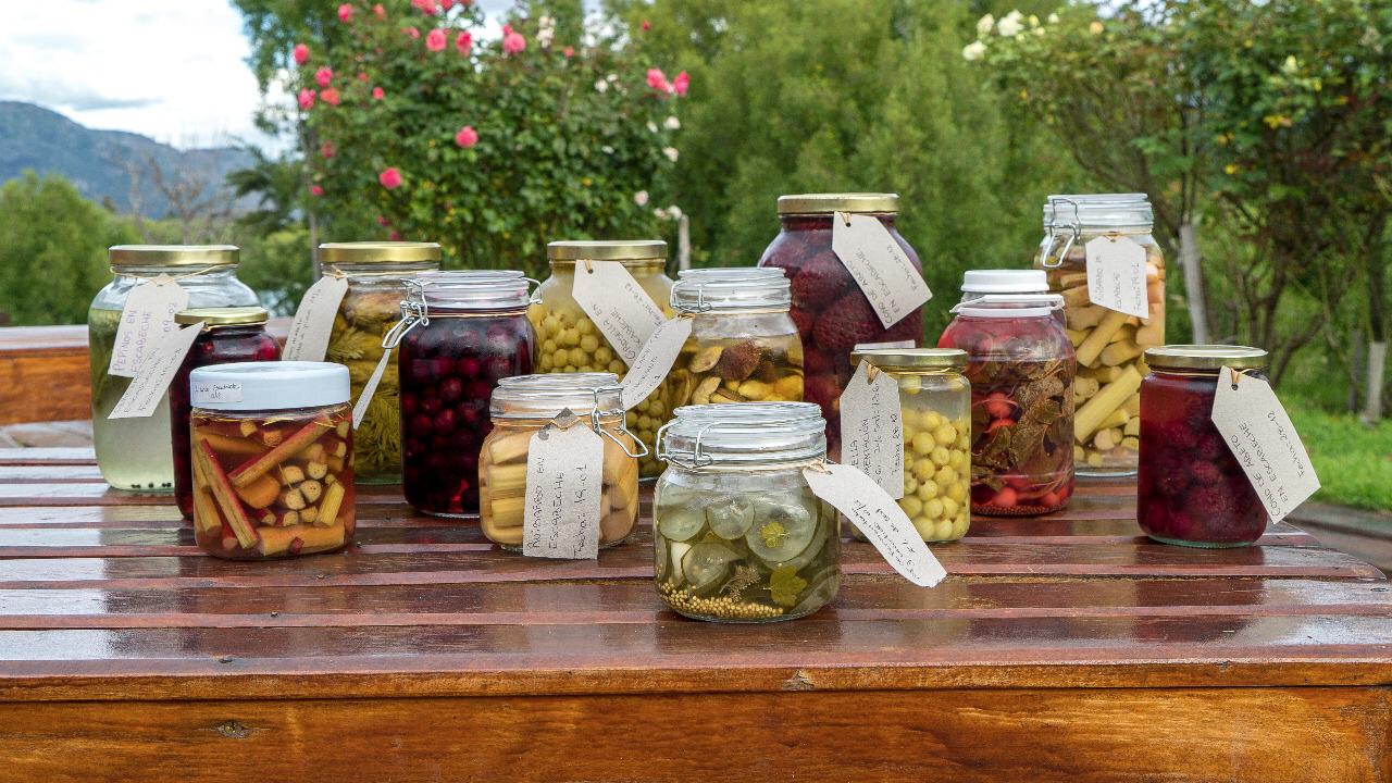 Facundo Gallardo | Carousel-London