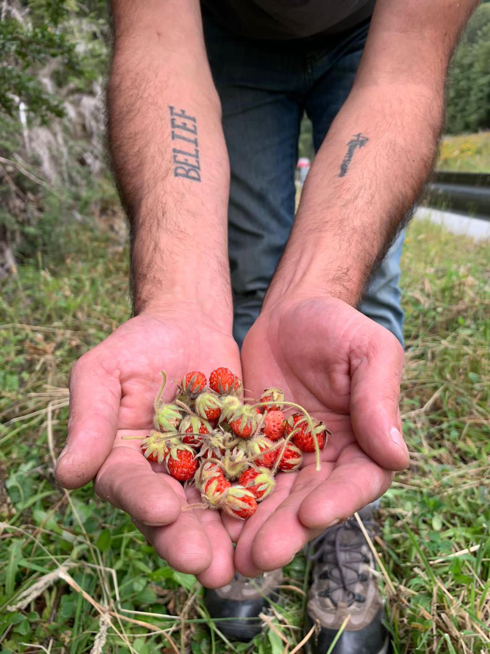 Facundo Gallardo | Carousel-London
